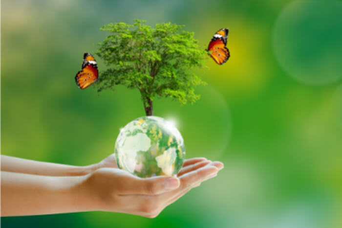 We are part of the global Ecosystem Services Partnership network ...